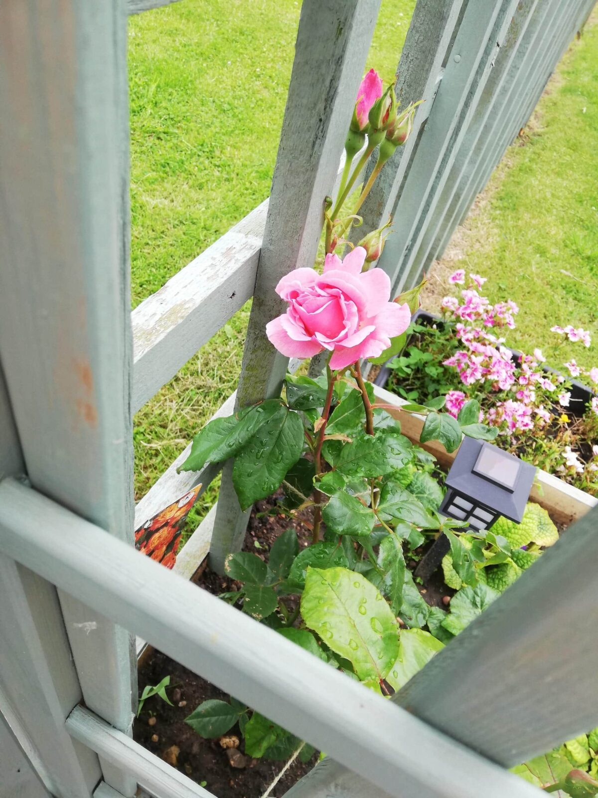 How To Build a DIY Reclaimed Wood Planter (7 Simple Steps)