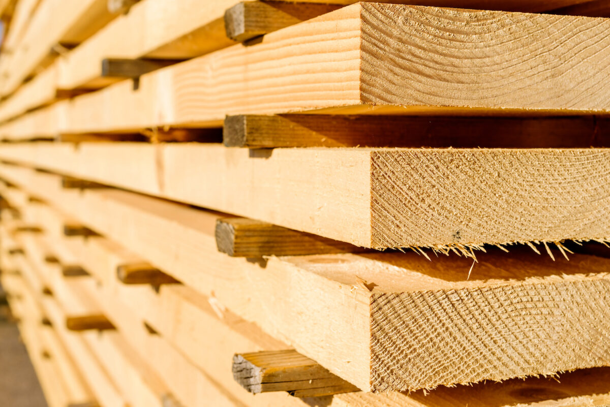 Timber Vs Wood: What's The Difference? (Complete Guide)