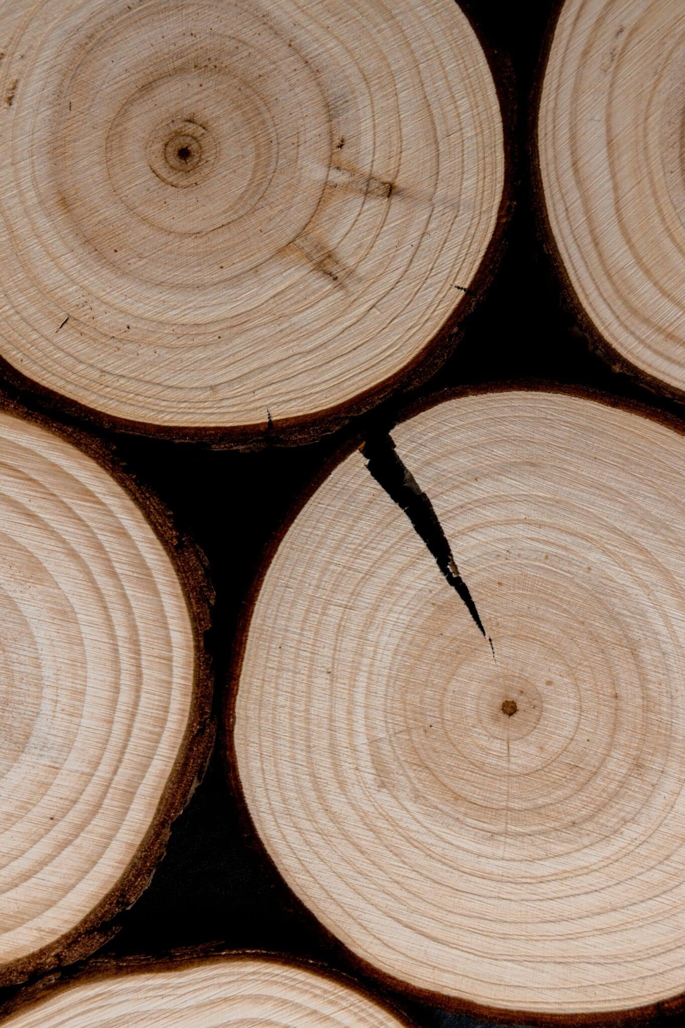 Why Old Growth Wood Outperforms New Timbers - Manomin Resawn Timbers